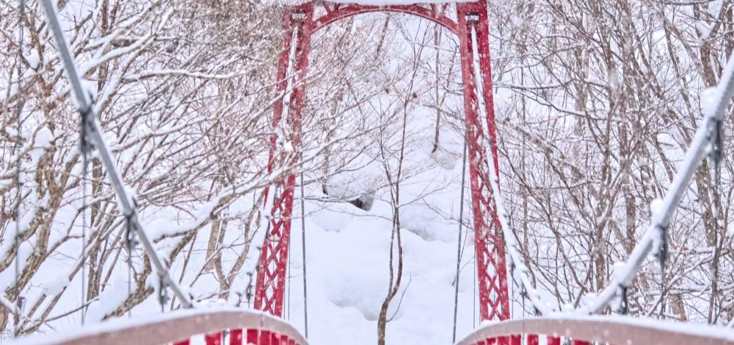 [Winter Limited, departure from Sapporo] Jozankei snow scenery tour × ...